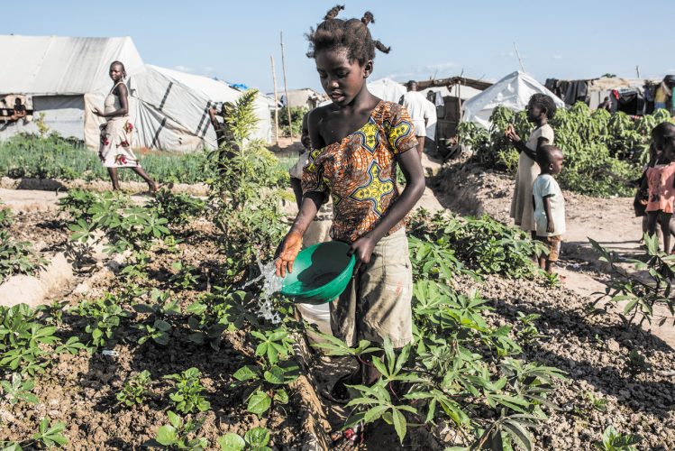 Focus: Lives in limbo – Red Cross Red Crescent