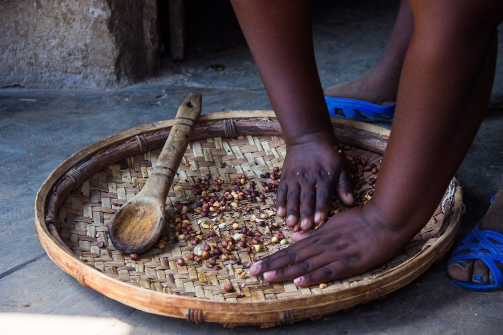 Recipes for Resilience Cookbook – Red Cross Red Crescent